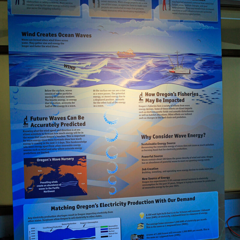 Hatfield Marine Science Center - Natalie Coleman