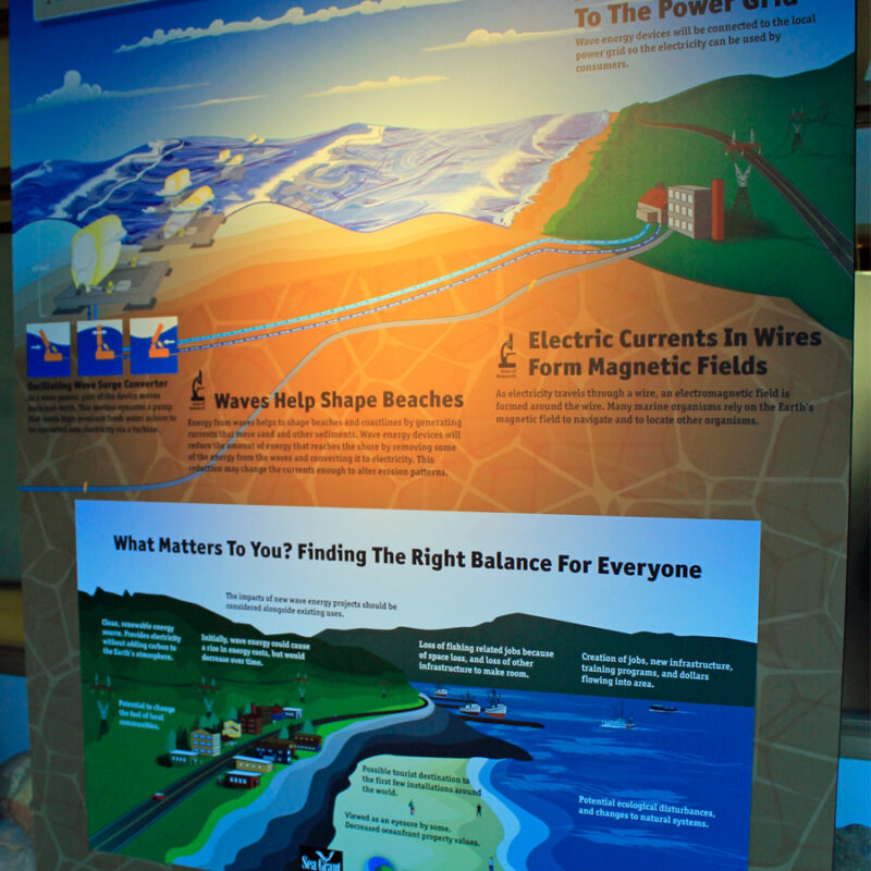 Hatfield Marine Science Center - Natalie Coleman